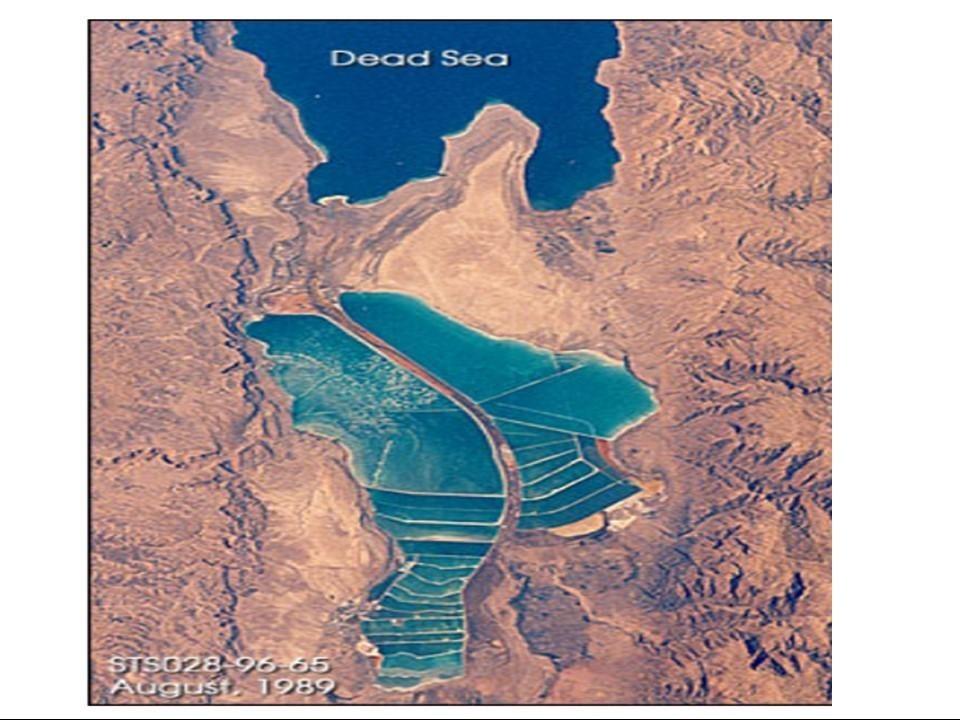 Pre-treating Dead Sea water before entering evaporation ponds - Innocentive