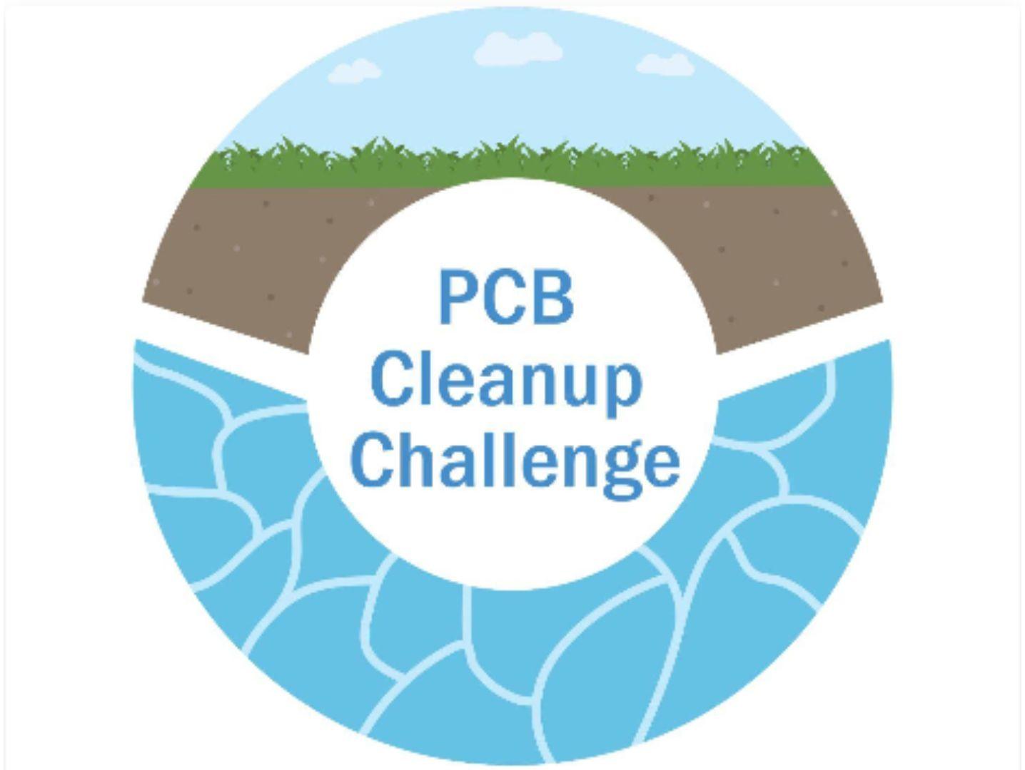 Reducing PCB Concentrations and/or Toxicity in Soil or Sediment at the ...